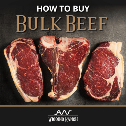 Bulk Beef - Wiggins Ranch